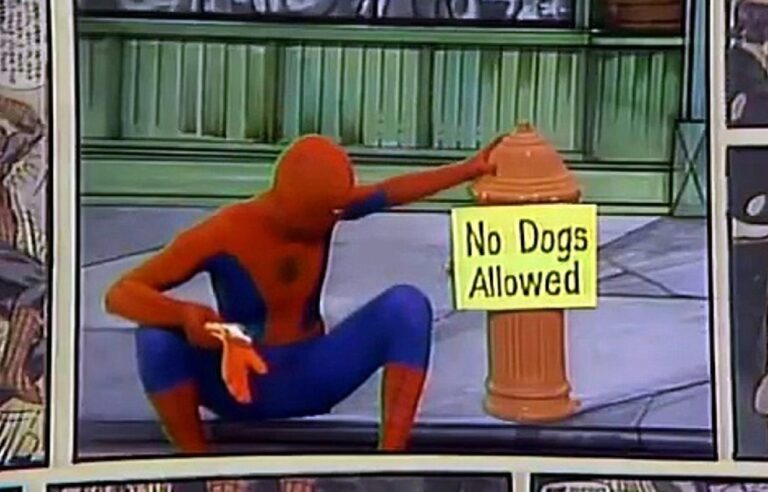 Muere el primer Spider-Man en imagen real, Danny Seagren, a los 81 años