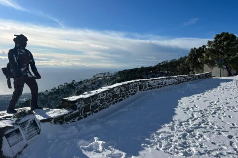 Investigan la muerte de una mujer en Alhaurín el Grande y detienen a su ...